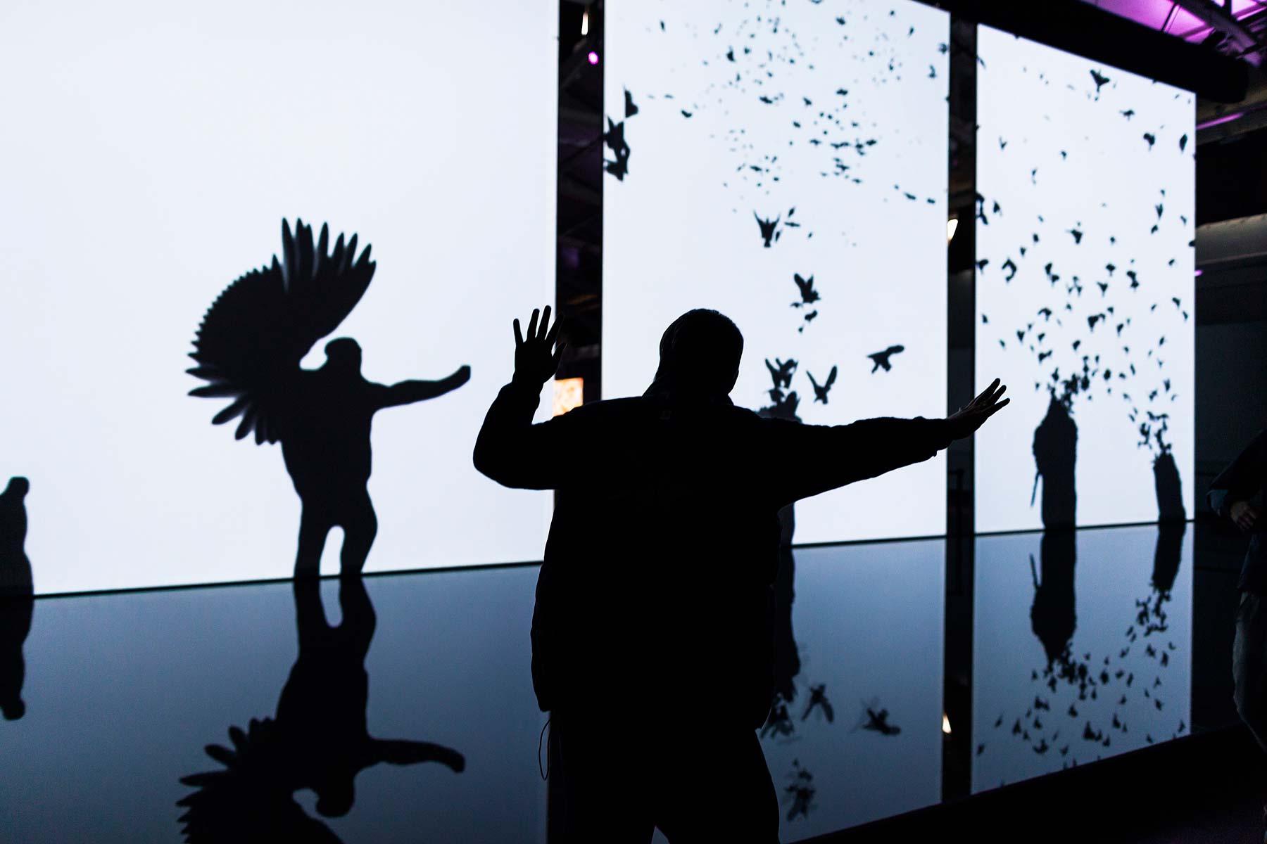 Digital Revolution at the OCC - The Greek Foundation