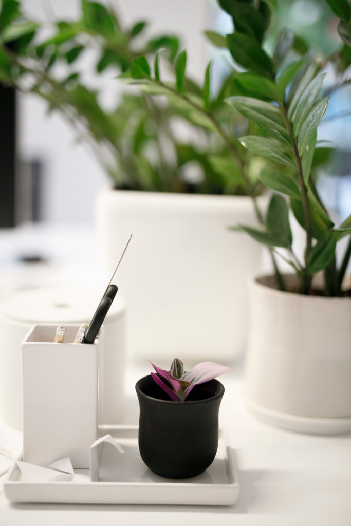 G Design Studio - The Greek Foundation