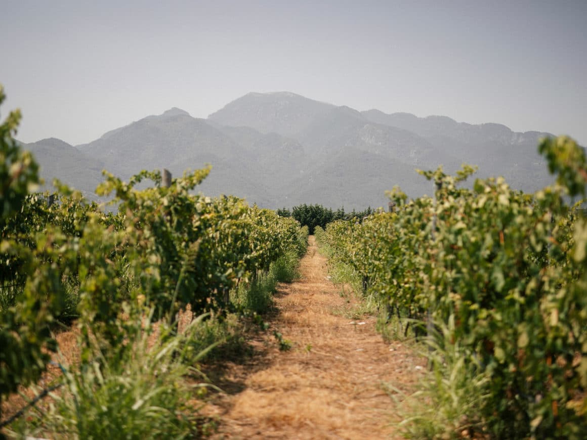 Etrusco’s top-cuisine by Ettore Botrini - The Greek Foundation