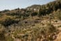 K-Studio nestles LIKNON -the new home for Metaxa- in Samos' vineyards ...