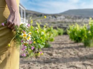 The Greek Foundation - A global destination for Greek Culture