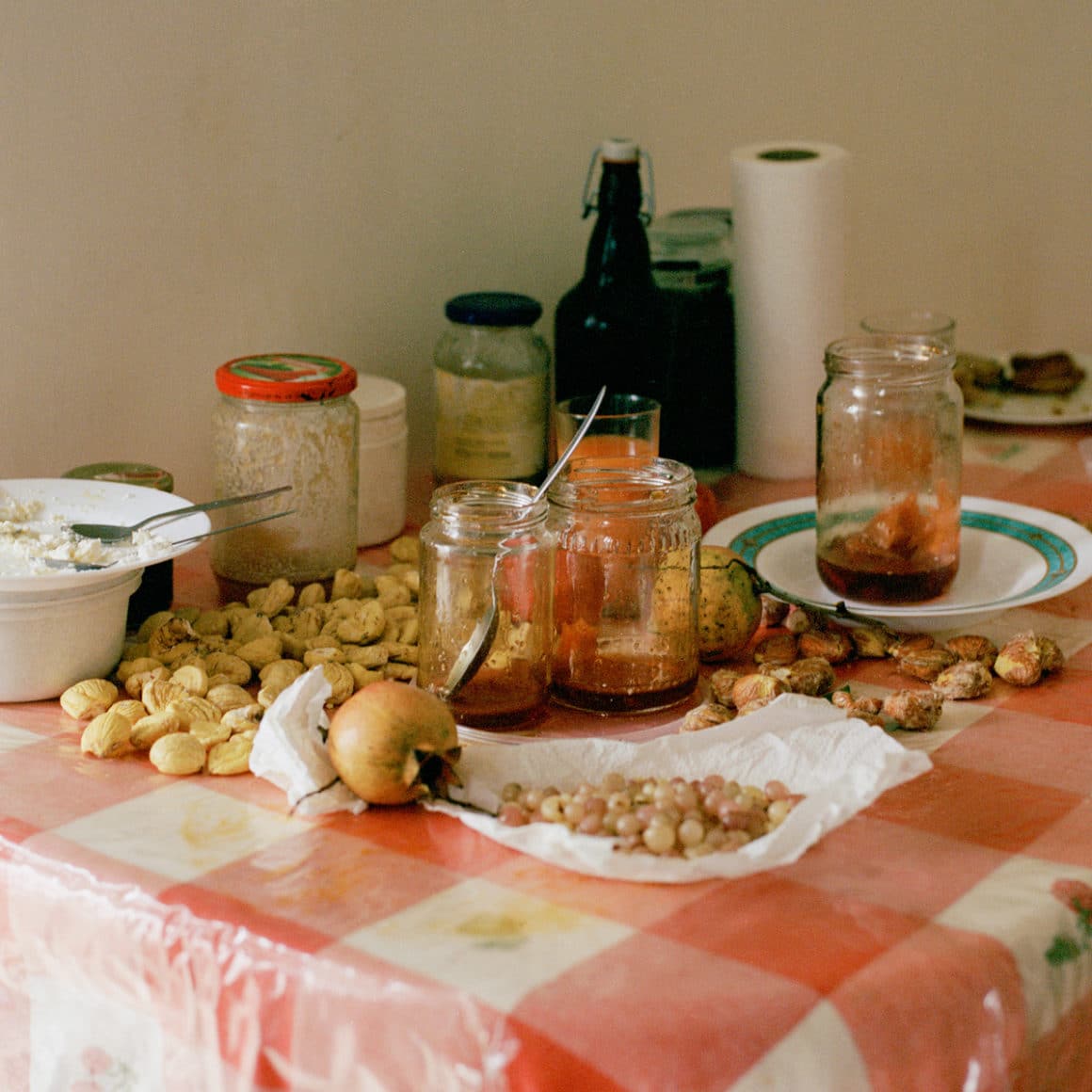 The Greek Foundation - A global destination for Greek Culture