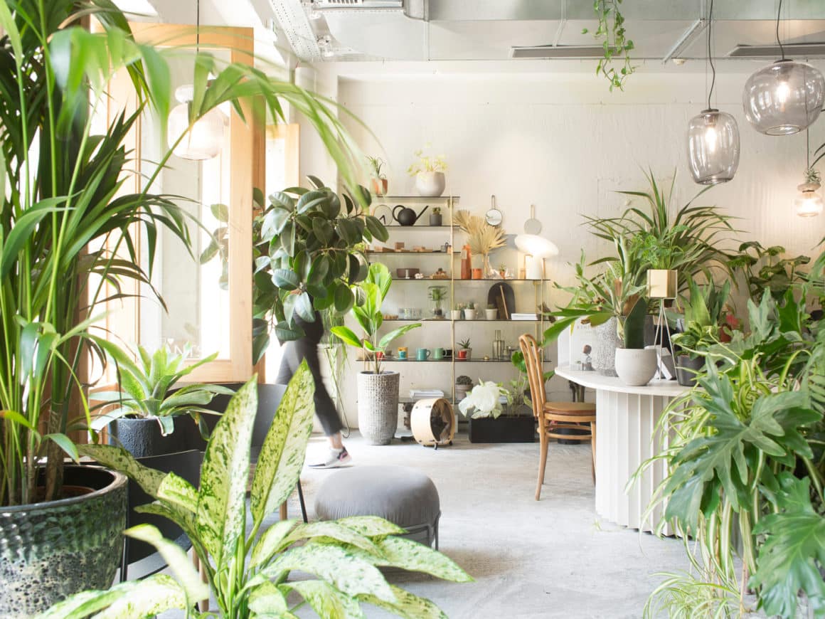 The Greek Foundation - A global destination for Greek Culture