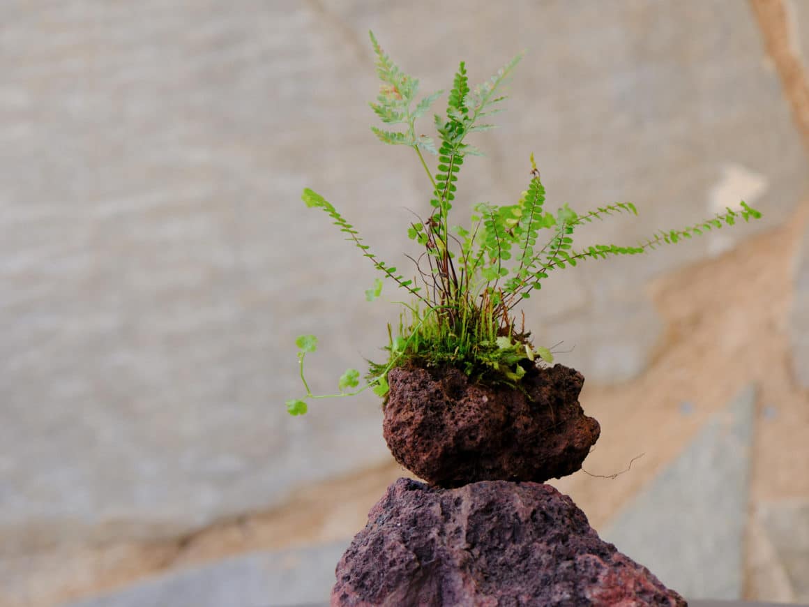 The liquid portraits of Nikos Gyftakis - The Greek Foundation