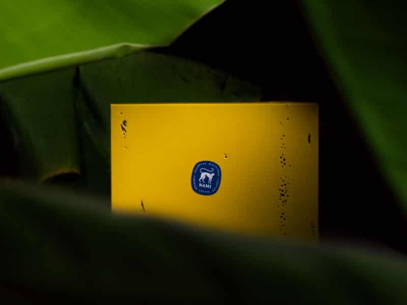 The Greek Foundation - A global destination for Greek Culture