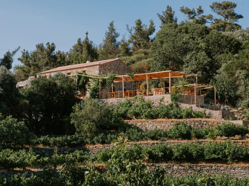 Red Jane in Chania is a testament to the art of culinary craftsmanship ...