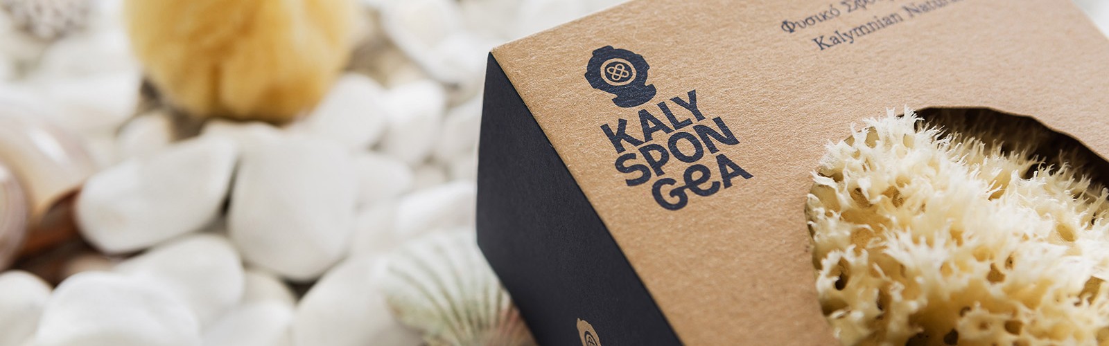 Kalyspongea "dives" into deep Kalymnian sponge history - The Greek ...