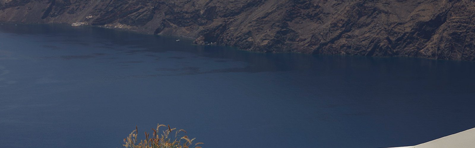 The Greek Foundation - A global Destination for Greek Culture